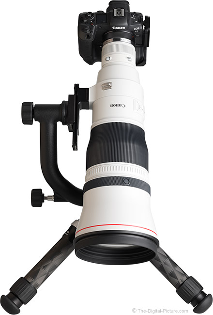 Canon RF 600mm F4 L IS USM Lens Review Canon RF 600mm F4 L IS USM Lens Review