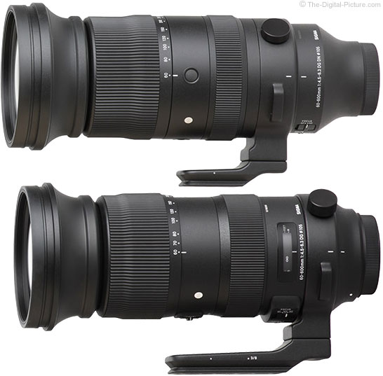 Sigma 60-600mm F4.5-6.3 DG DN OS Sports Lens Review