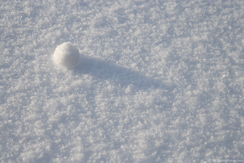 Small Snowball Picture