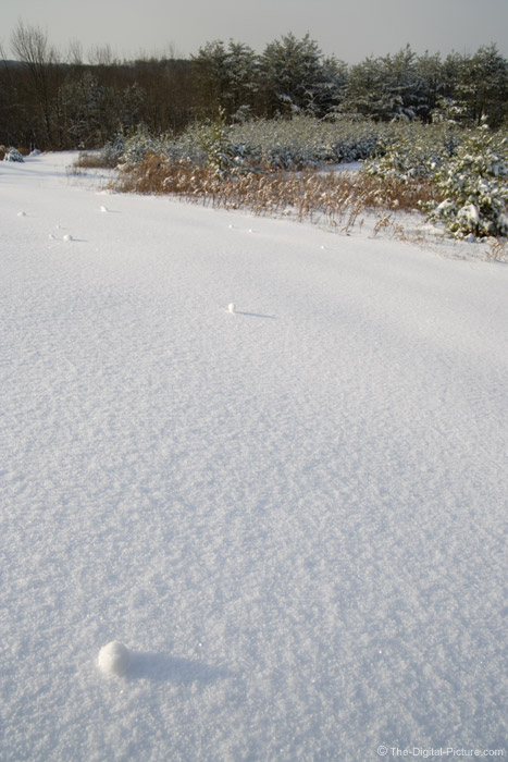 Small Snowball in the Landscape Picture