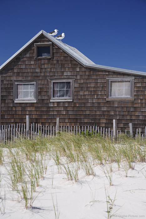 Gulls, Sand and an Old Beach House Picture