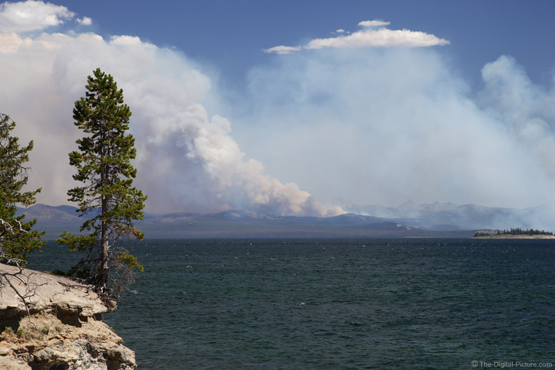 Yellowstone Lake and Forest Fire Picture