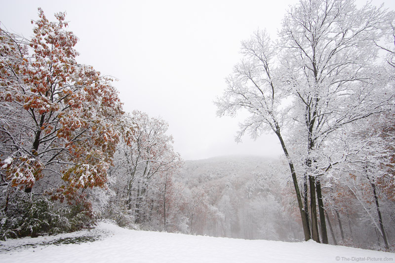 Late Fall Snow Storm