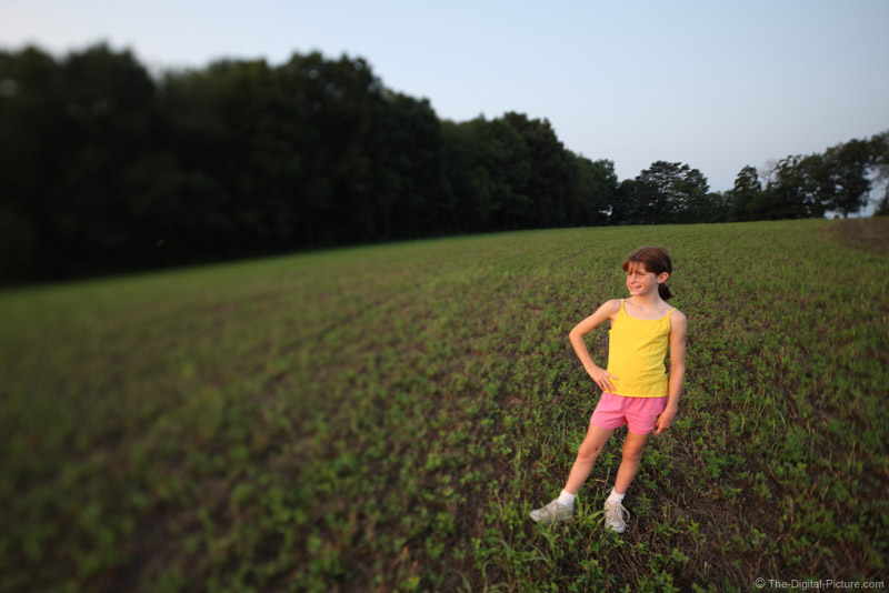 Portrait in a Field