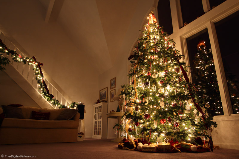 Christmas Tree Picture with Perspective