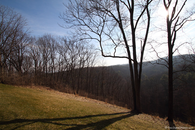 Early Spring Sunrise