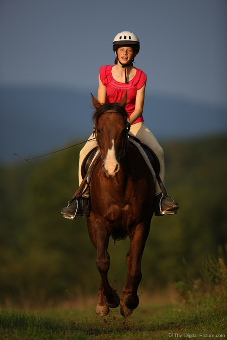 Flying Quarter Horse