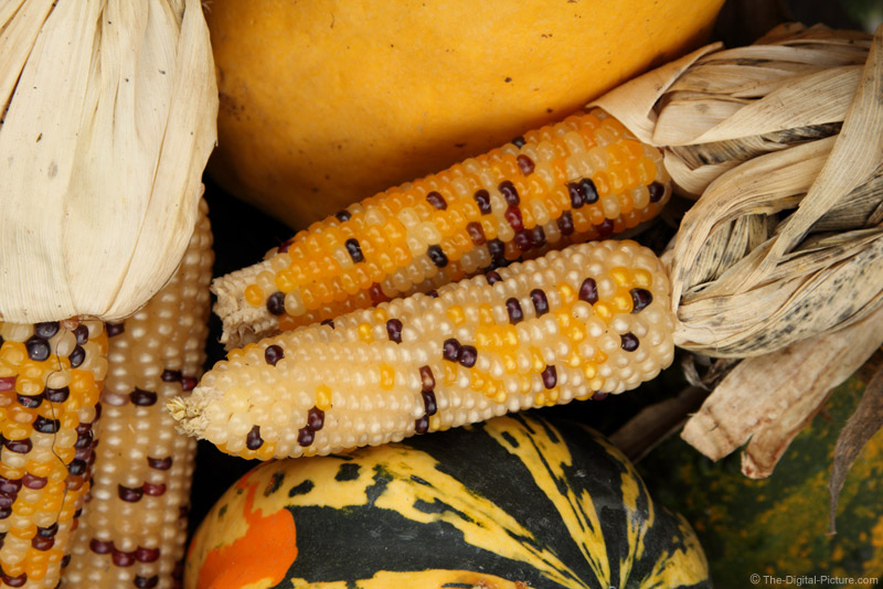 Colors of the Fall Harvest
