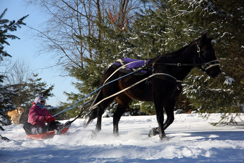 Sledding Behind a Horse